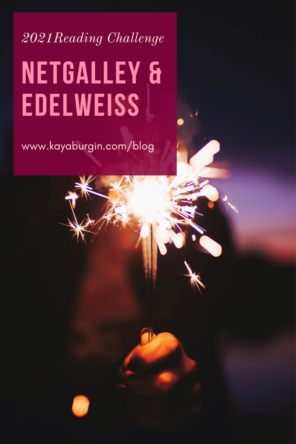 2021 Reading Challenge: Netgalley & Edelweiss | OMG! Kaya Reads